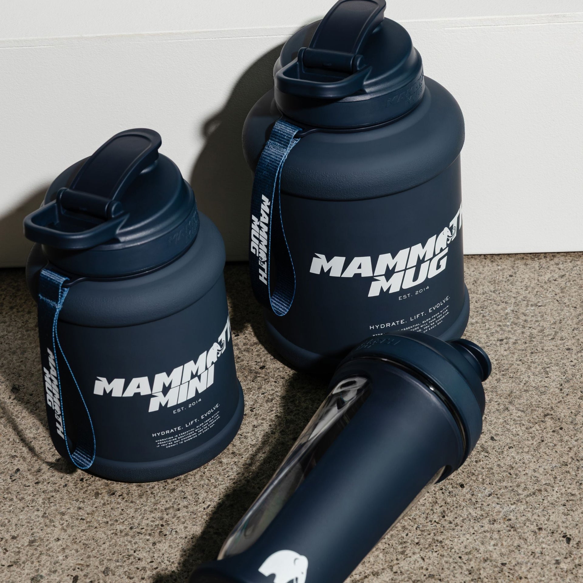How Many Ounces in a Water Bottle? Every Size Explained – Mammoth Mug